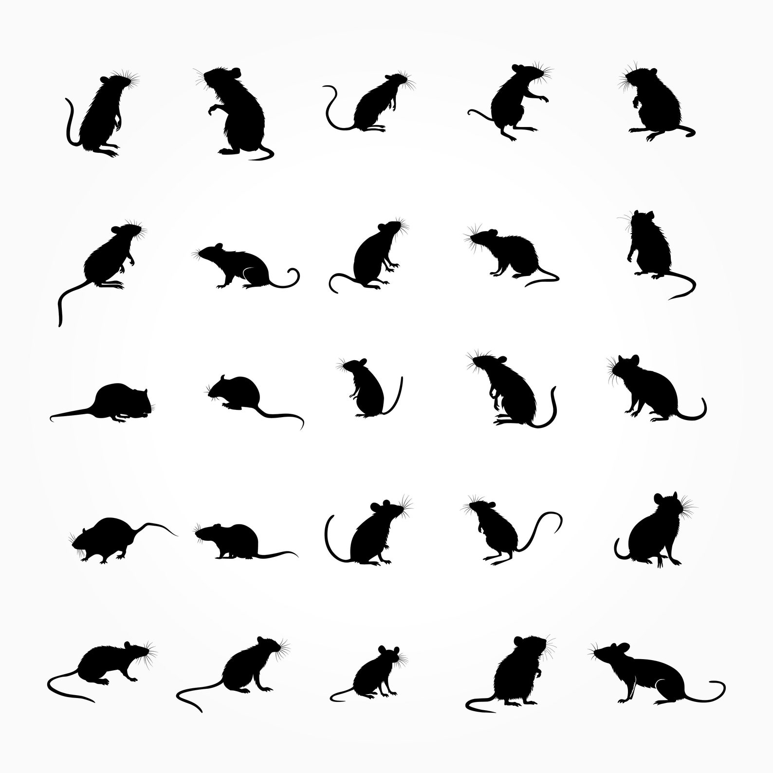 Rat Svg Bundles, Mouse Svg Bundles, Mice Svg Bundles, Rat Png, Mouse ...