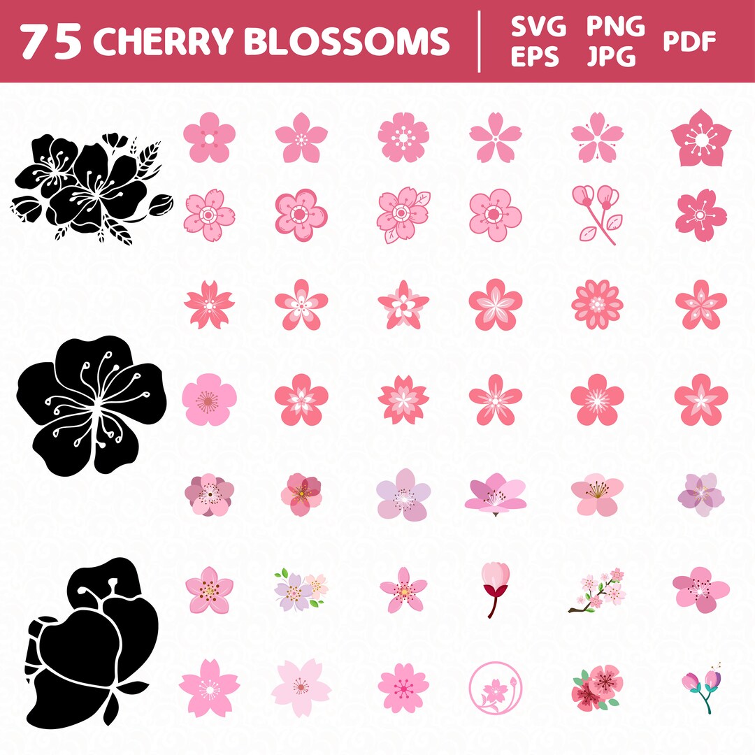 Cherry Blossom Svg Bundles, , Sakura Blossom Svg, Cherry Flower Svg ...