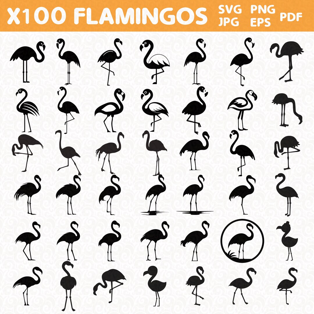 Flamingo Svg Bundles, Flamingo Clipart, Flamingo Cut File, Flamingo ...