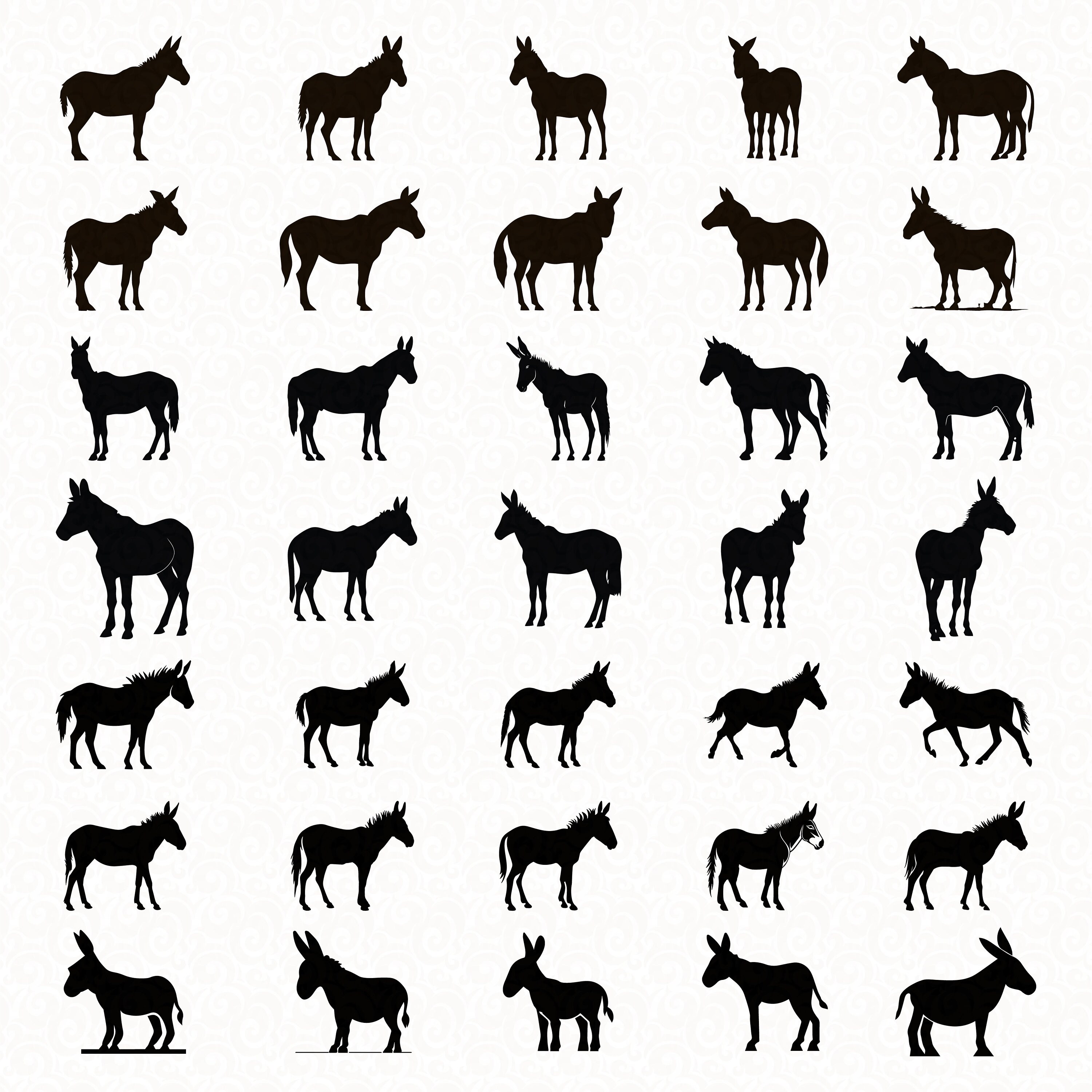 Funny Donkey Svg Bundles, Donkey Svg, Donkey Clipart, Farm Animal ...