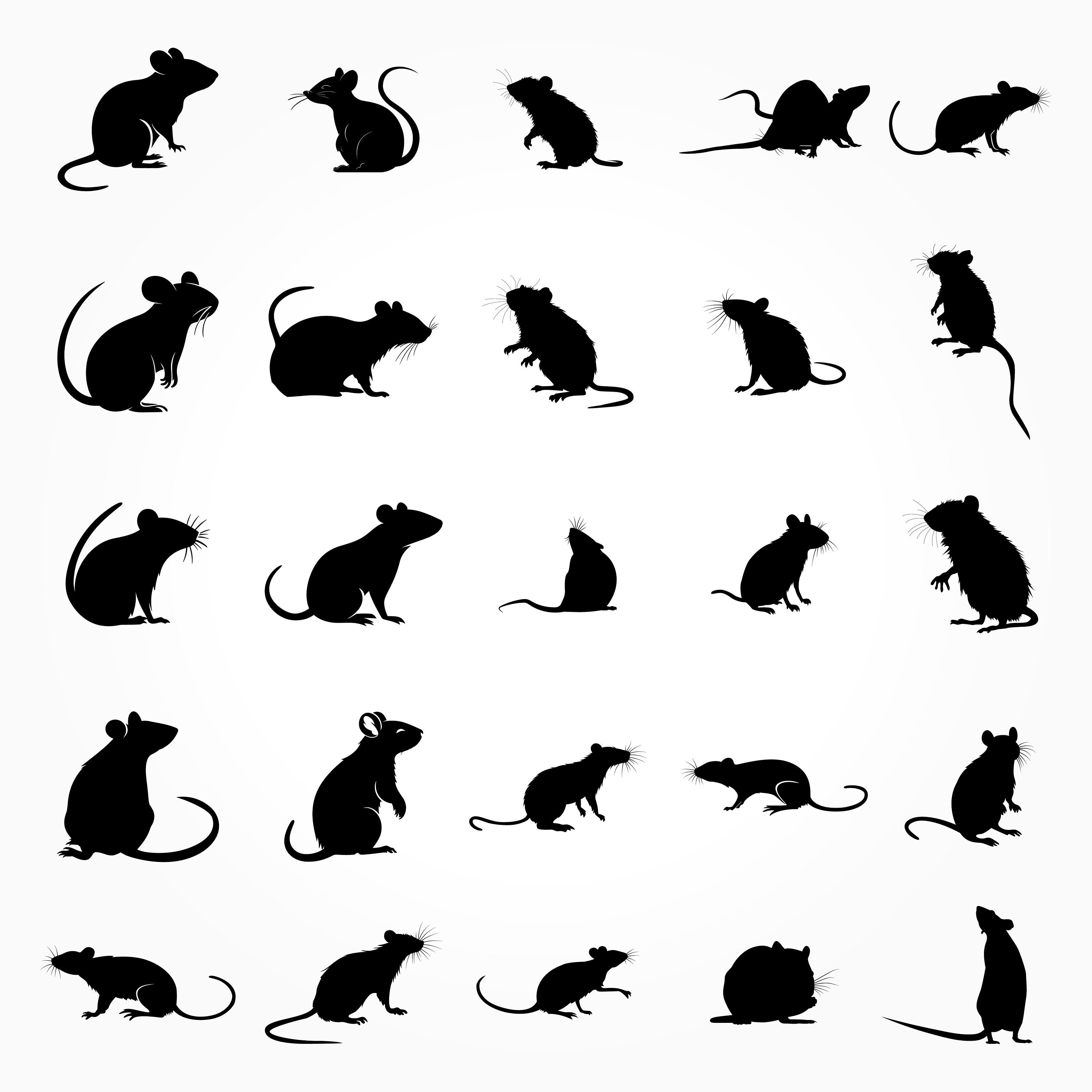 Rat Svg Bundles, Mouse Svg Bundles, Mice Svg Bundles, Rat Png, Mouse ...