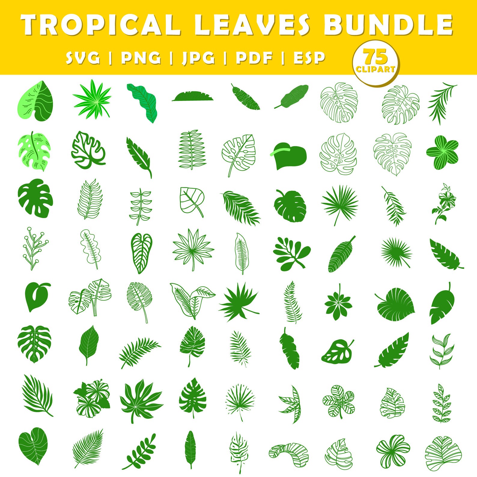 Cute Tropical Leaves Svg Bundle, Palm Branch Svg,monstera Leaf Svg ...