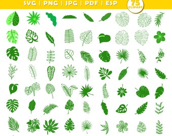 Cute Tropical Leaves Svg Bundle, Palm Branch Svg,monstera Leaf Svg Jungle Leaves Clipart ...