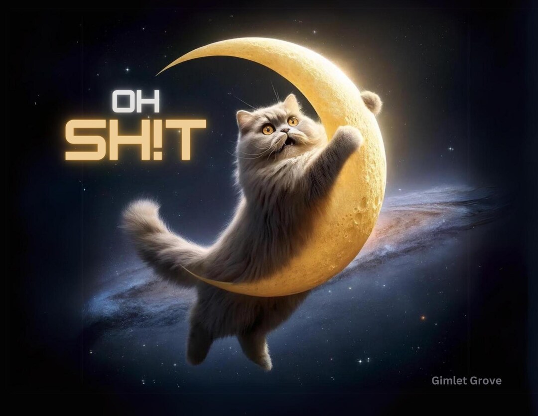 Funny Space Cat Postcard: Retro Cosmic Humor Card for Cat Lovers ...