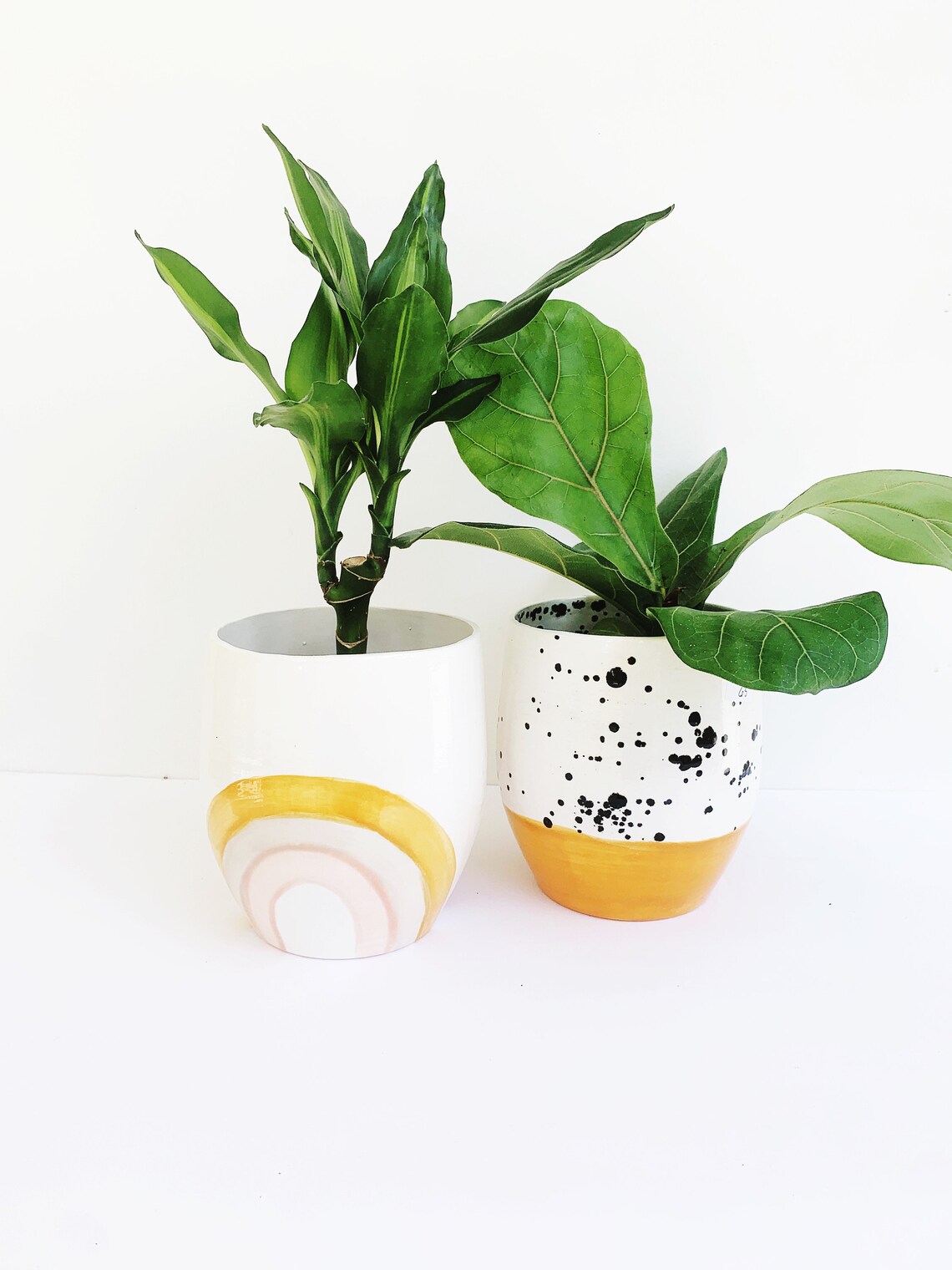 Ink Spots Planter Succulent Planter - Etsy