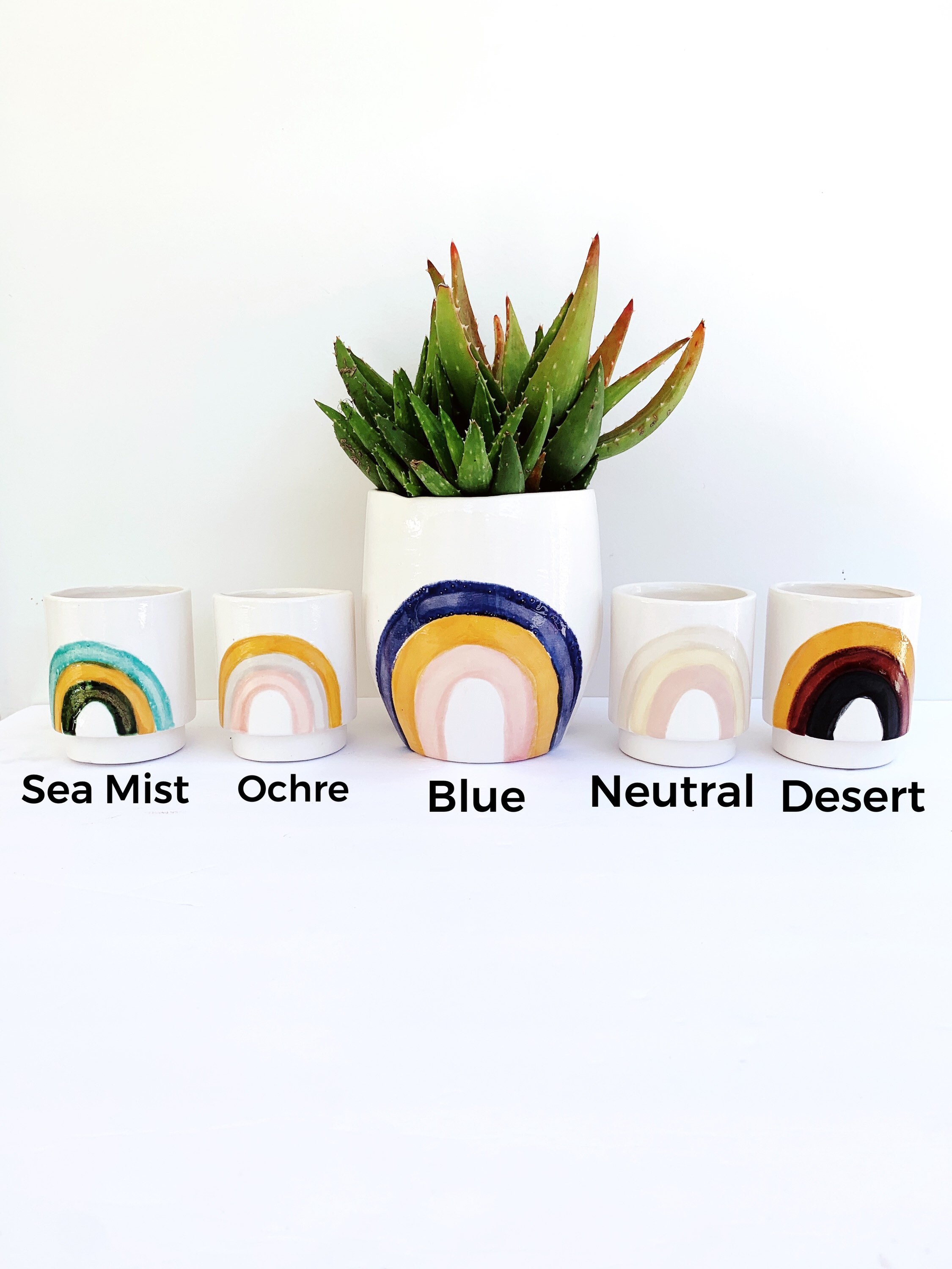 Rainbow Ceramic Planters Pots - Etsy