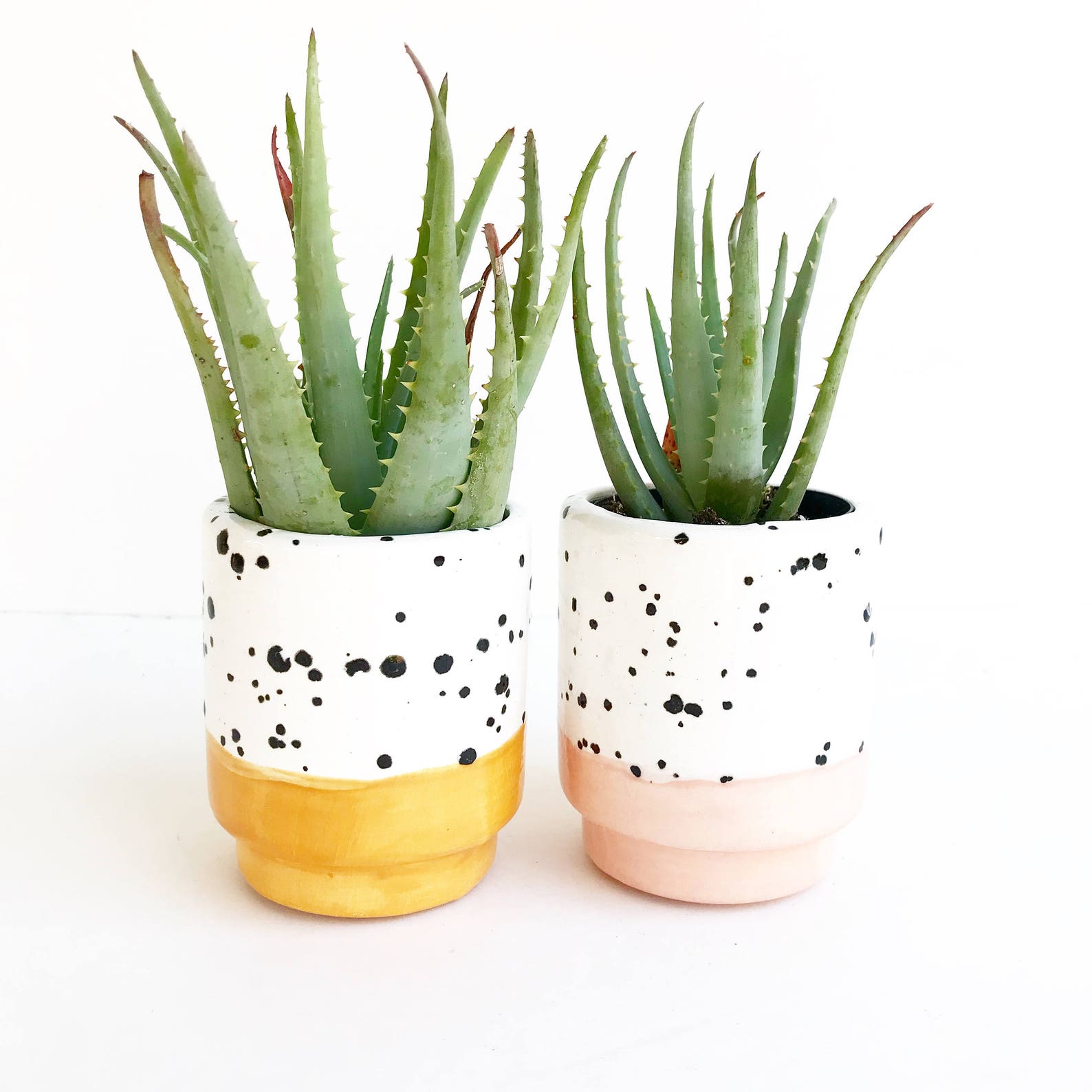 Ink Spot Pots Ceramic Succulent Planters - Etsy