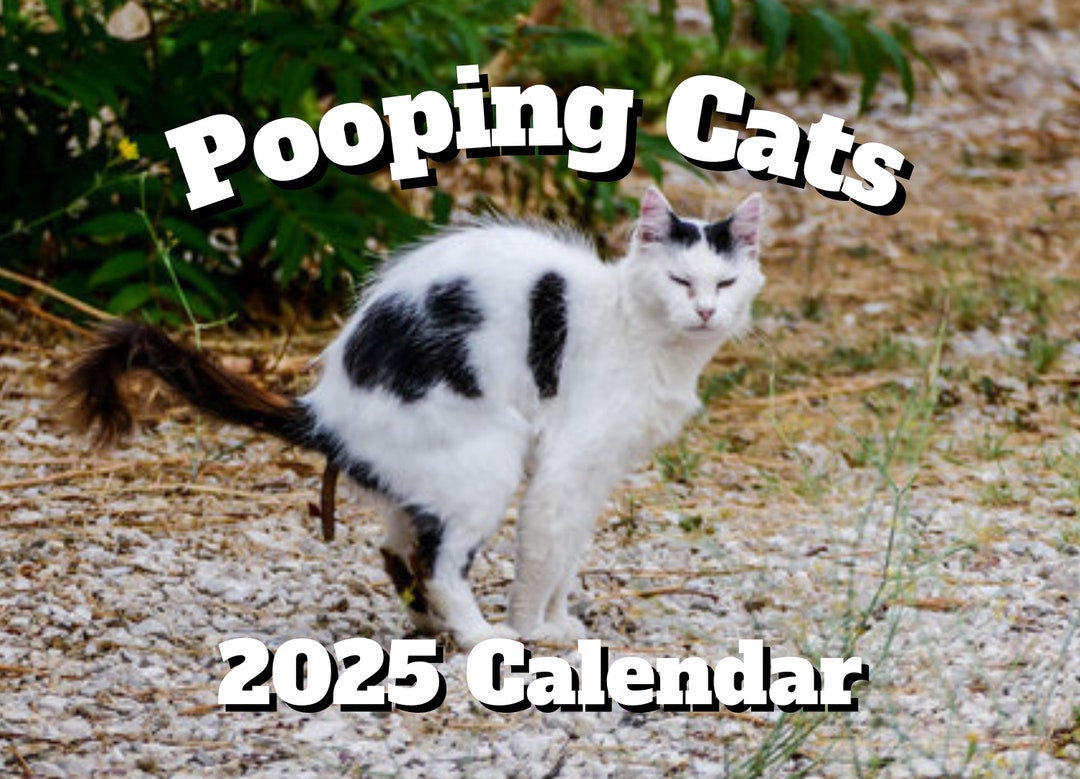 Pooping Cats 2025 Desk Calendar White Elephant Party Coming Up Yankee ...