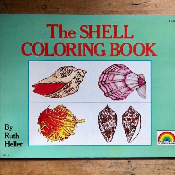 Shell Book - Etsy