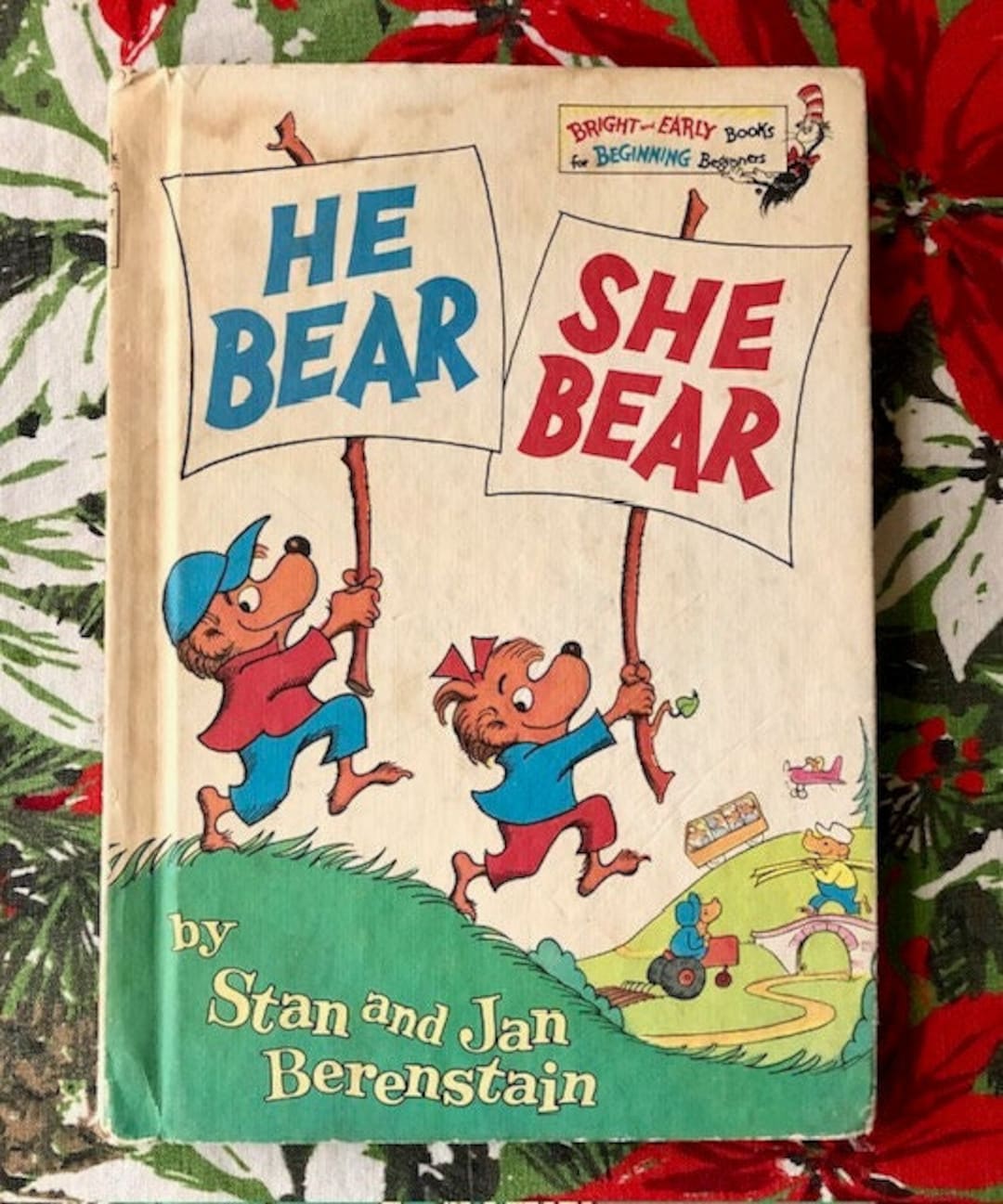 Vintage He Bear She Bear Pronoun Book by Stan and Jan Berenstain - Etsy