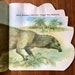 Vintage Dinosaur Golden Shape Book - Etsy