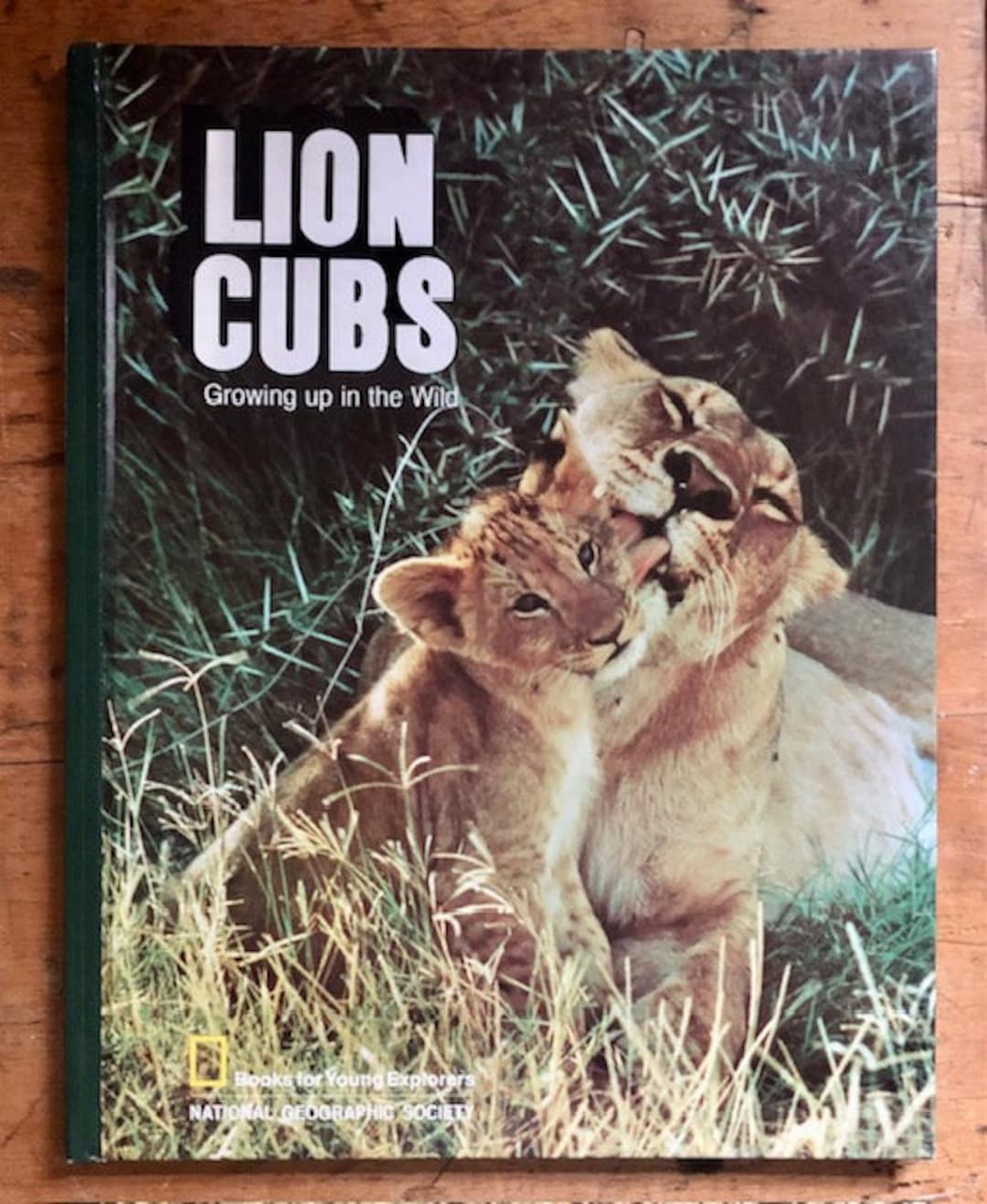 Vintage National Geographic Lion Cubs Book - Etsy