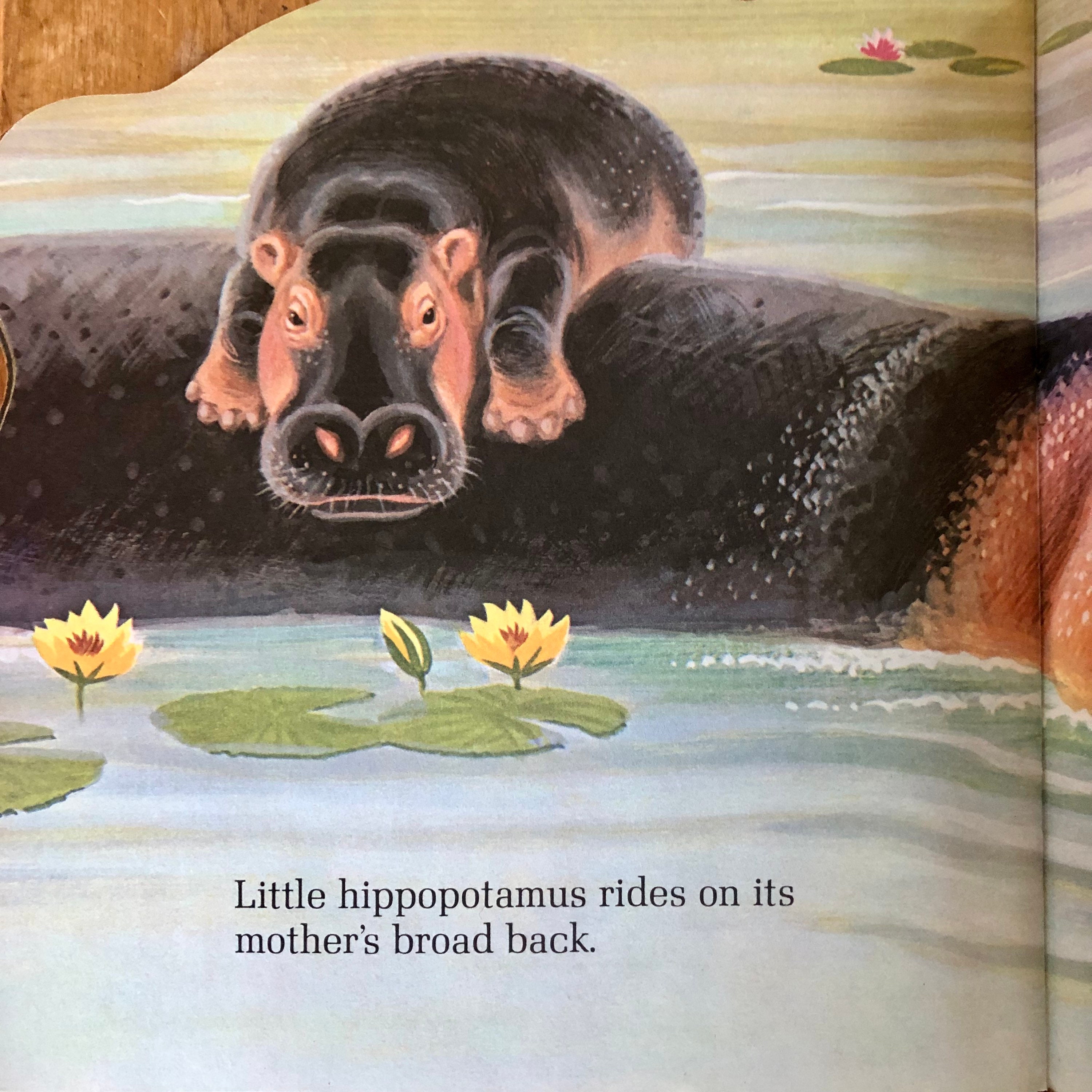 Vintage Jungle Animals Golden Shape Book - Etsy