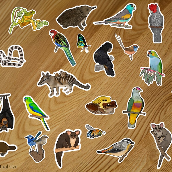 Australian Wildlife - Etsy Australia