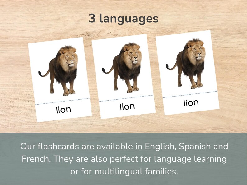 Wild Animals Flash Cards, Real Images, Homeschool Printables in English ...