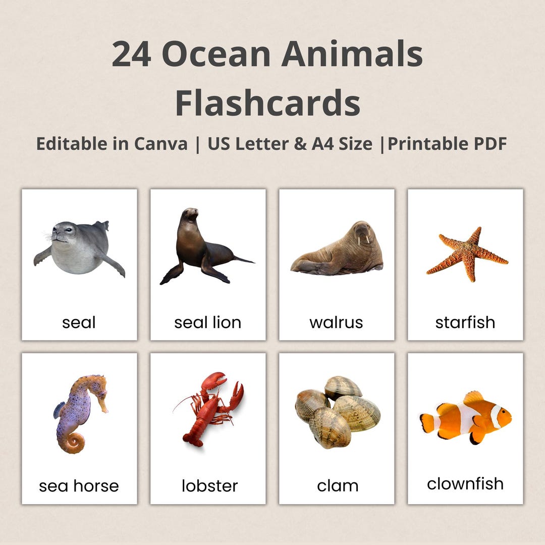 Tarjetas Montessori de animales marinos: Tarjetas bilingües de ...