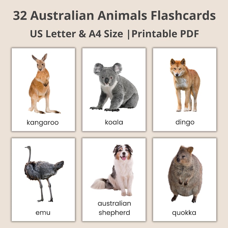 Australian Animals Flashcards: Montessori Cards, Real Images (PDF ...