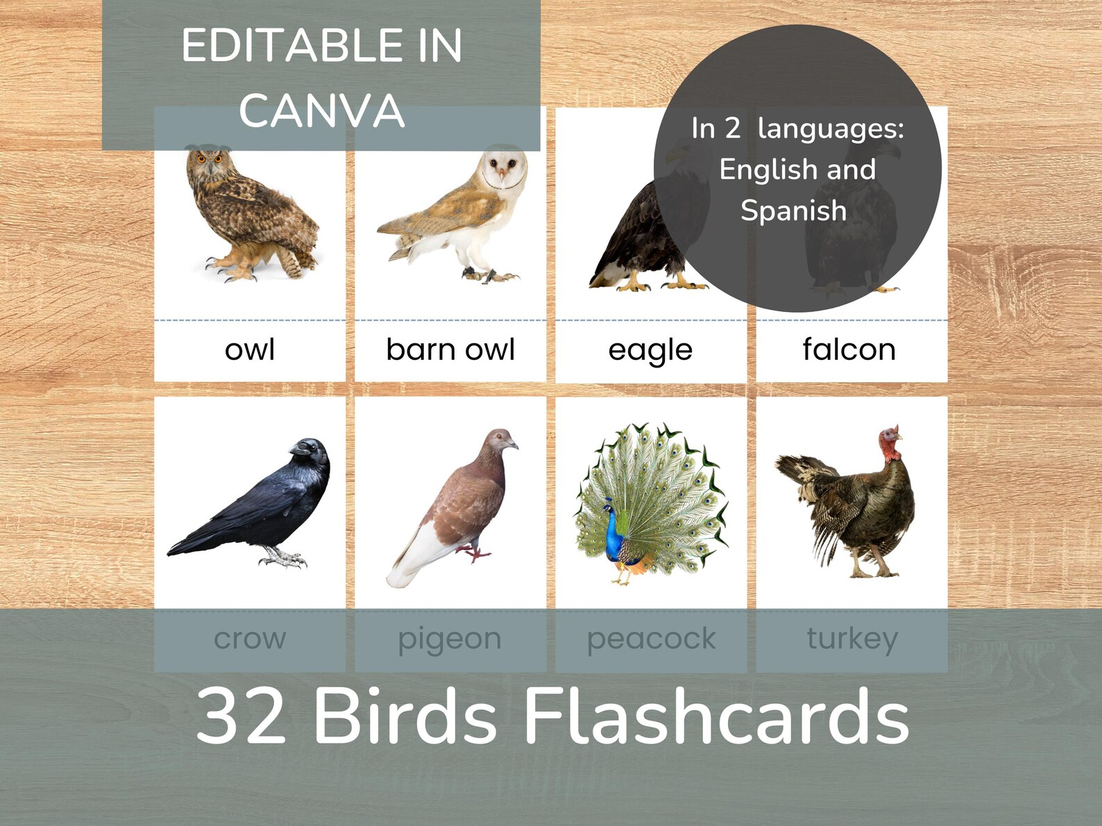 Bird Flash Cards, Montessori Materials, Real Pictures, Homeschool ...