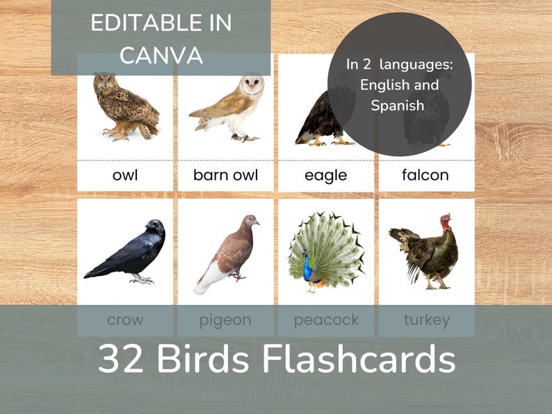 Bird Flash Cards, Montessori Materials, Real Pictures, Homeschool ...