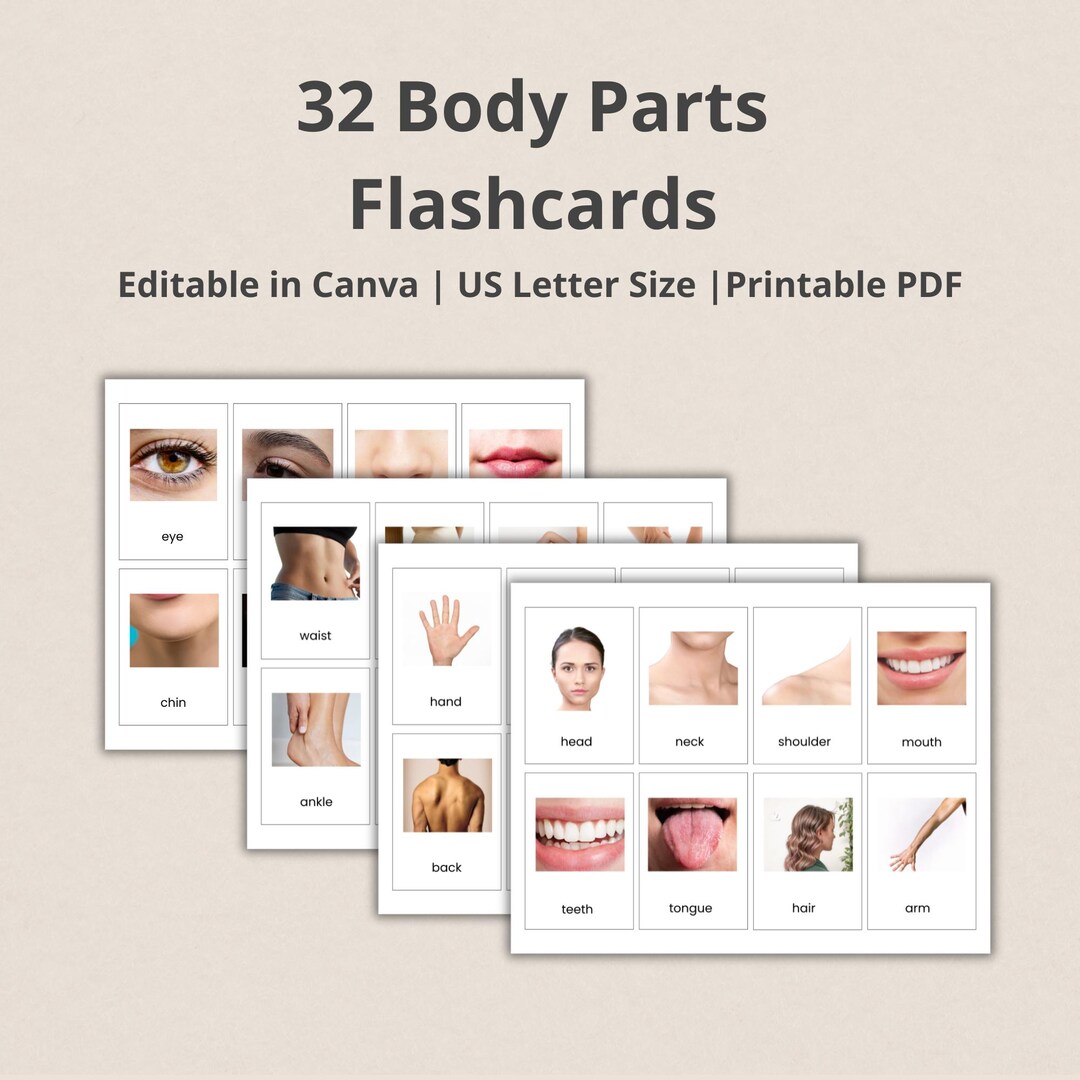 Body Parts Flash Cards, 32 Editable Cards, Montessori Materials, Real ...