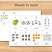 Numbers Flash Cards, Preschool Counting Flashcards, Count and Clip ...