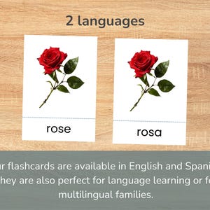 Flowers Flash Cards, Montessori, Real Pictures, Homeschool Flashcards ...