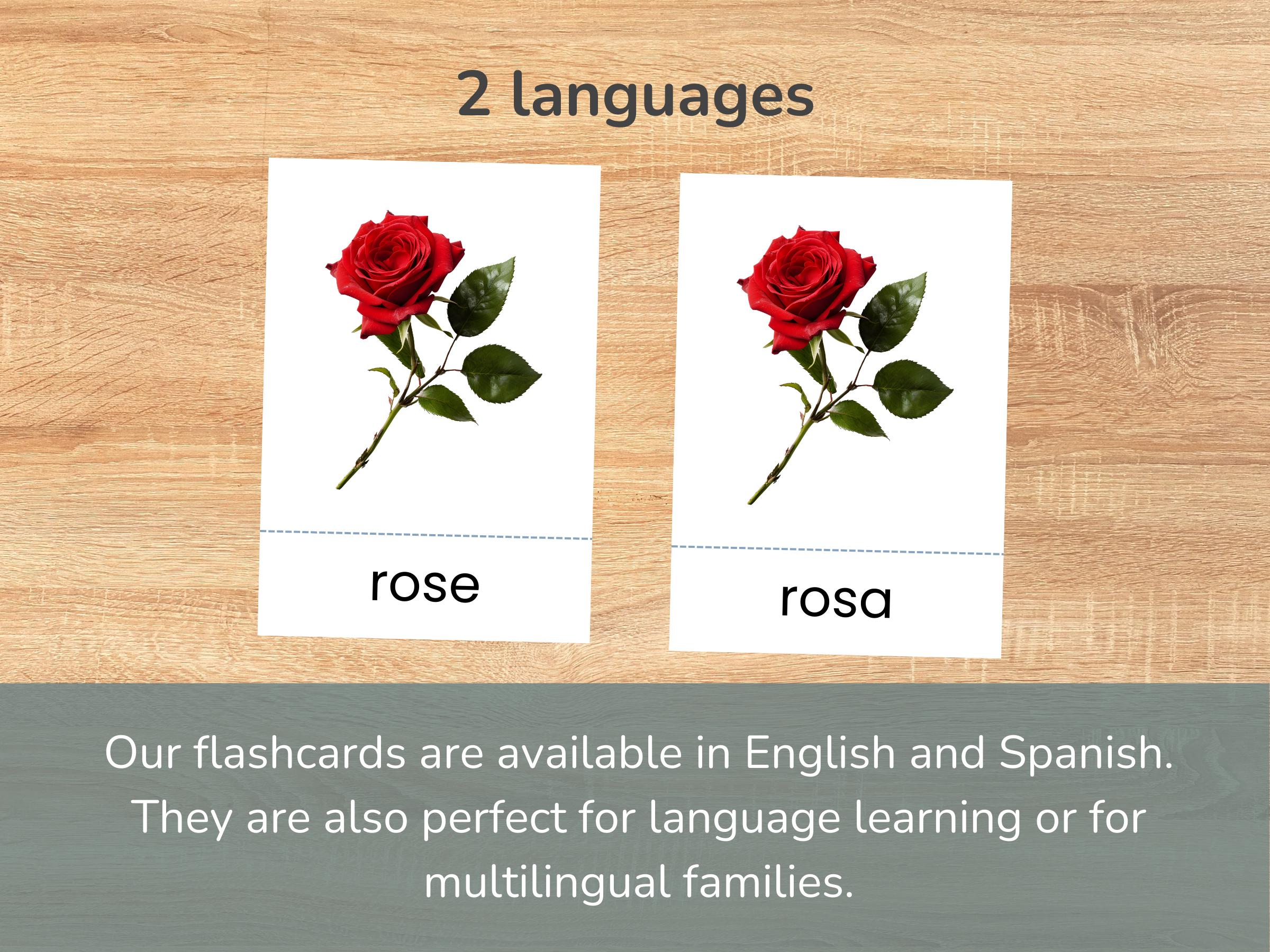 Flowers Flash Cards, Montessori, Real Pictures, Homeschool Flashcards ...