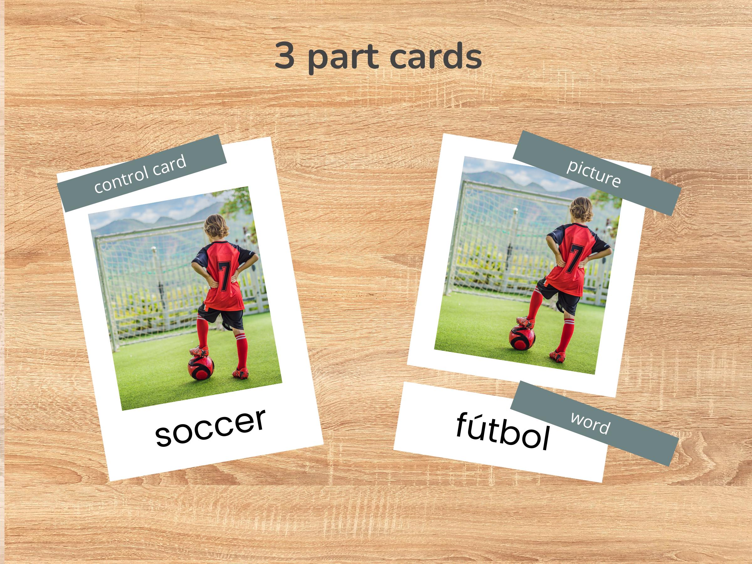 Sports Flash Cards, Montessori Materials, Real Pictures, Homeschool ...