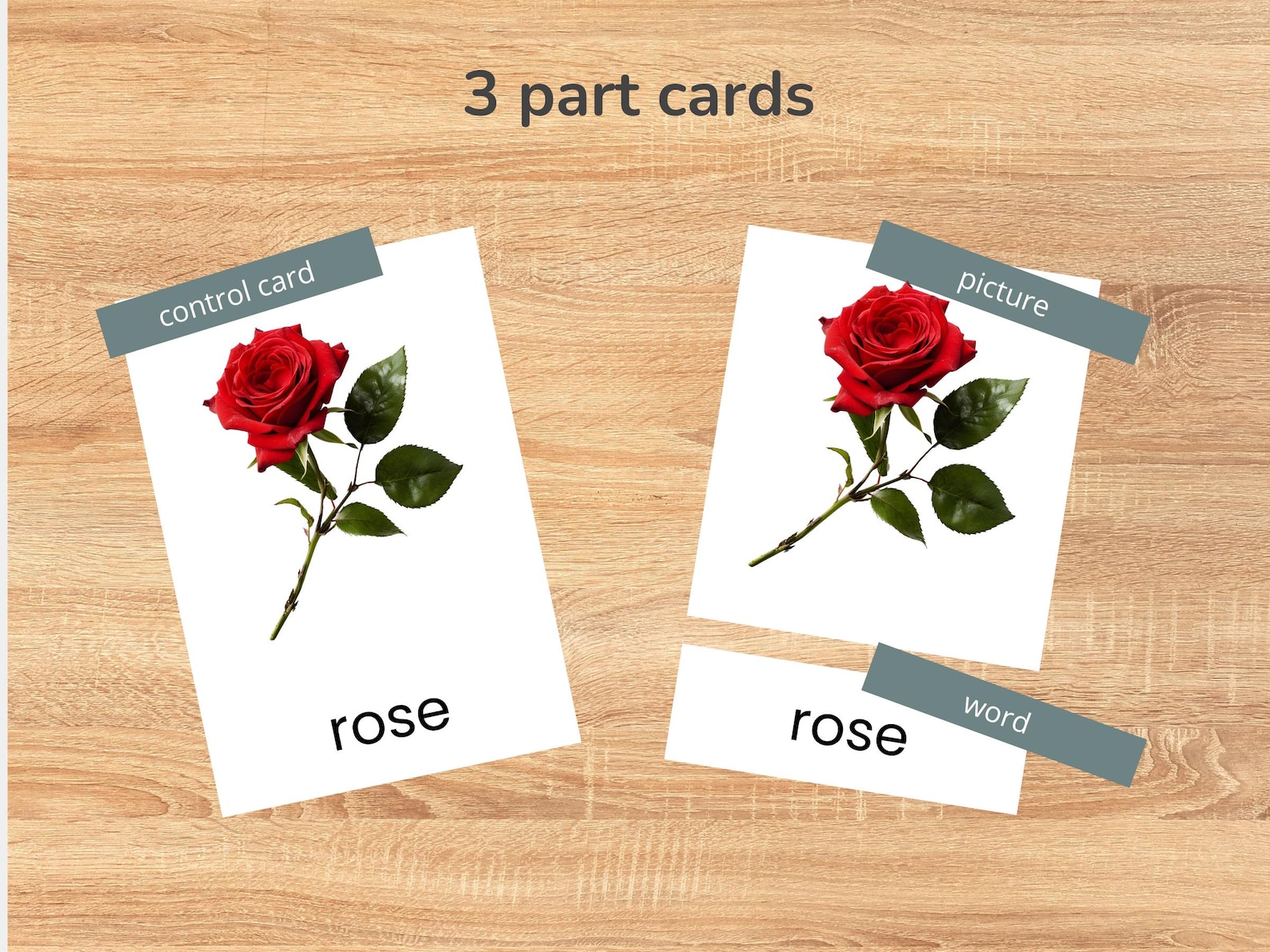 Flowers Flash Cards, Montessori, Real Pictures, Homeschool Flashcards ...