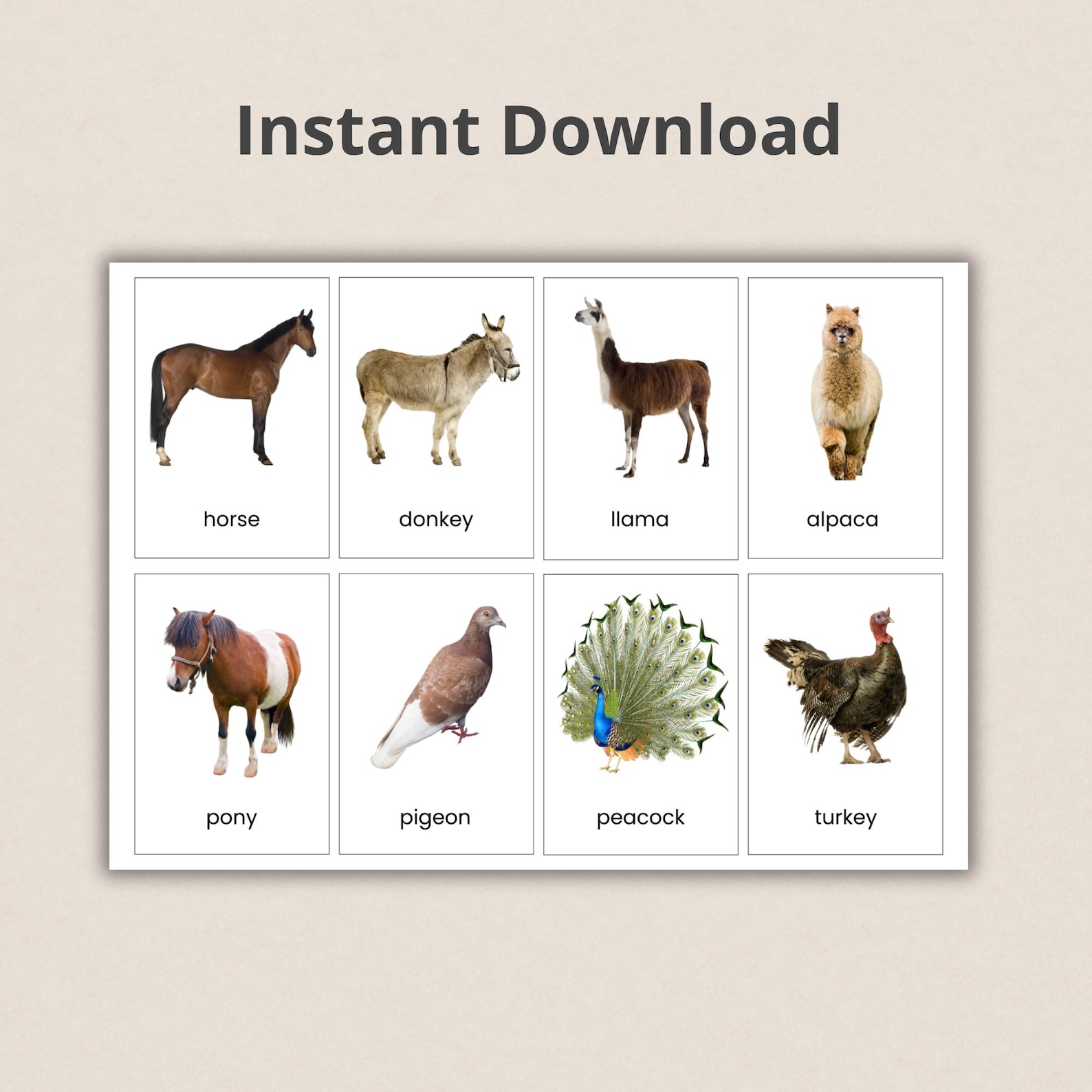 Farm Animals Flashcards: Montessori Cards, Printable PDF (instant ...
