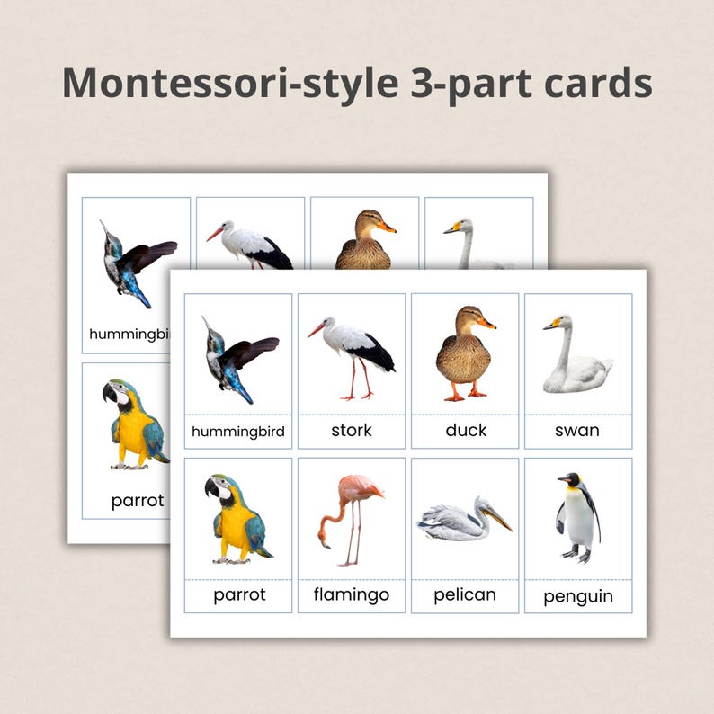 Montessori Bird Flashcards: Real Photo 3-part Cards (PDF Printable ...