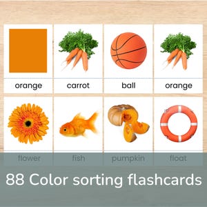 Color Flashcards, Real Images, Card Sorting, Homeschool Printables in ...