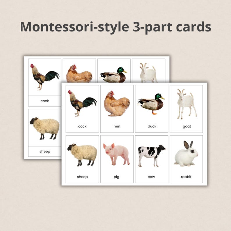 Farm Animals Flashcards: Montessori Cards, Printable PDF (instant ...