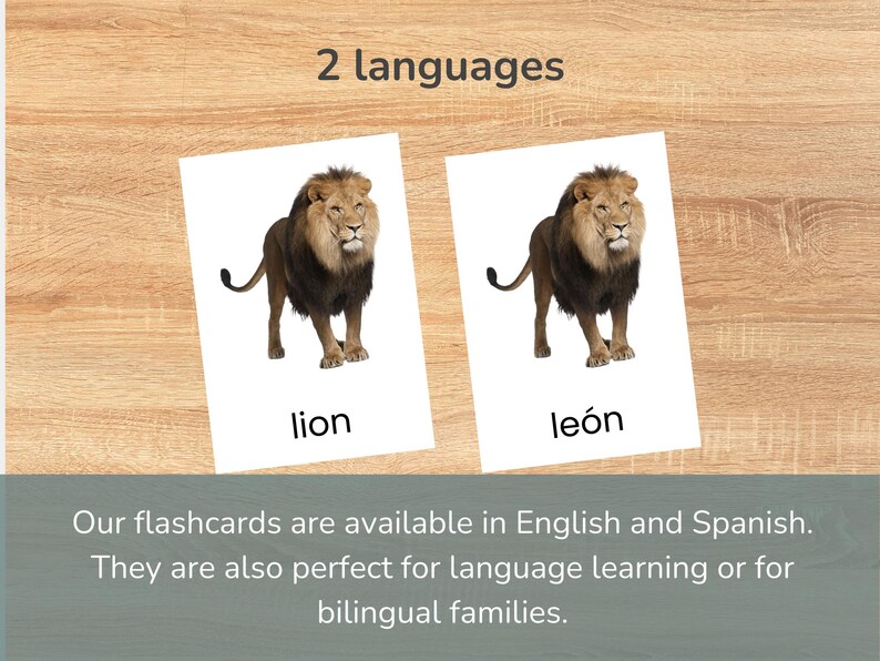 Wild Animals Flash Cards, Montessori, Real Pictures, Vocabulary ...