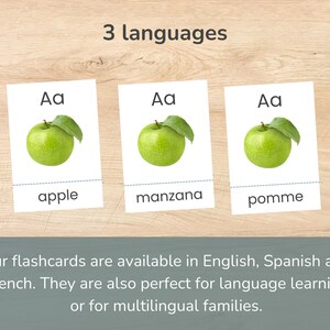 Alphabet Flashcards, Real Images, Homeschool Printables in English ...