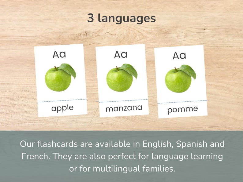 Alphabet Flashcards, Real Images, Homeschool Printables in English ...