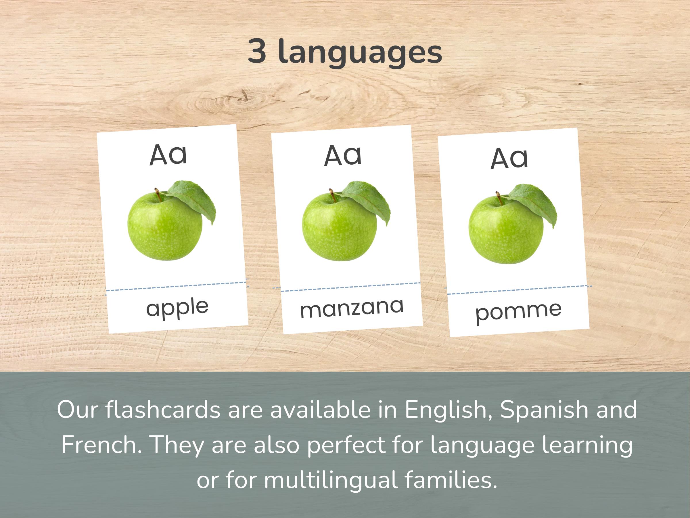 Alphabet Flashcards, Real Images, Homeschool Printables in English ...