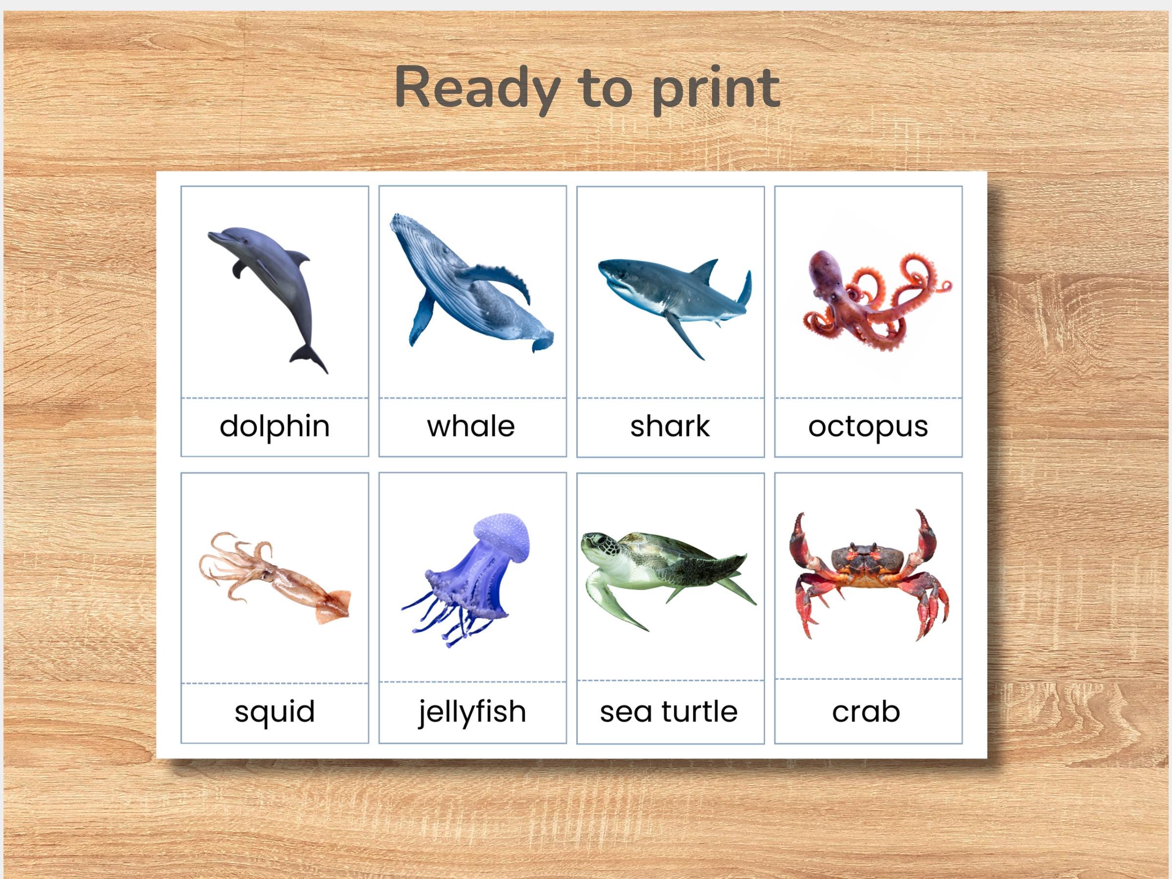 Editable Animal Flashcards Bundle: English & Spanish, Montessori Cards ...