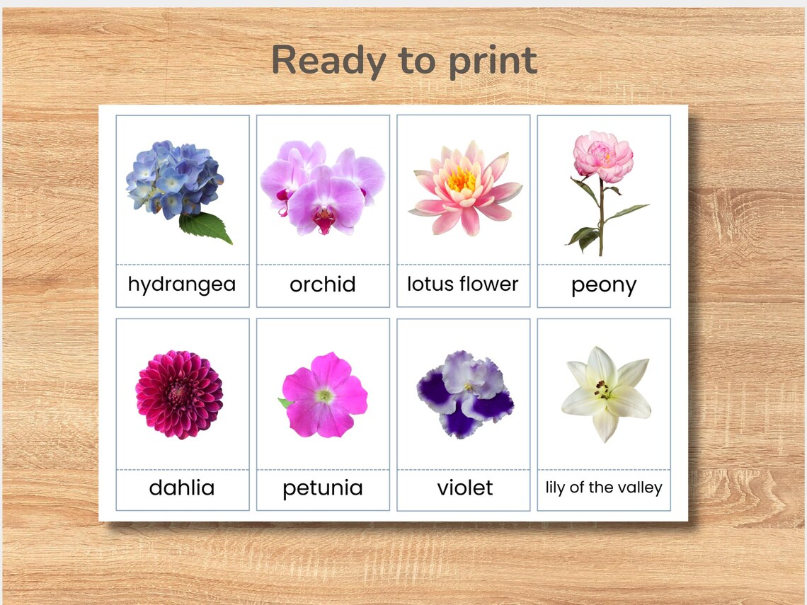 Flowers Flash Cards, Montessori, Real Pictures, Homeschool Flashcards ...