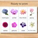Flowers Flash Cards, Montessori, Real Pictures, Homeschool Flashcards ...