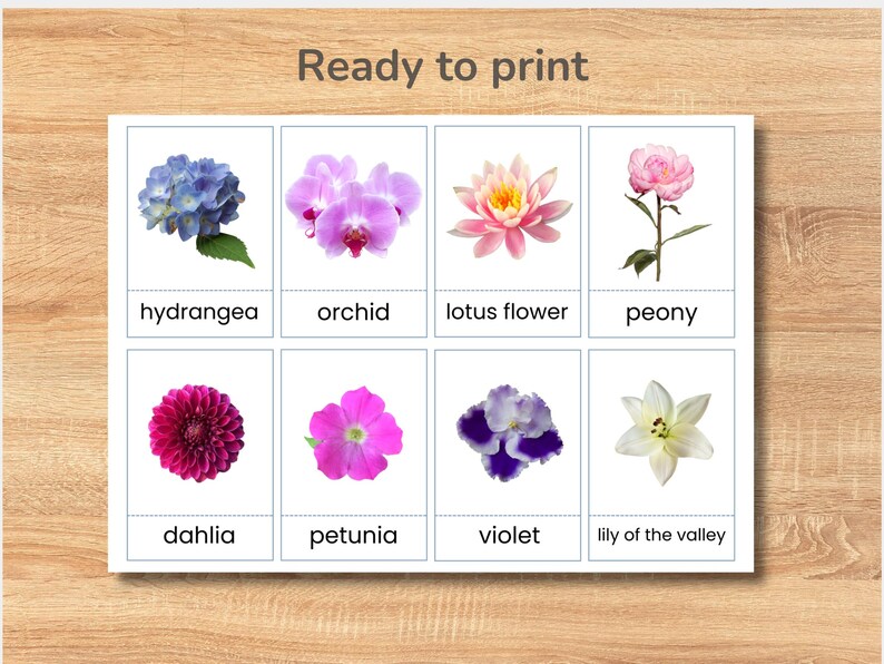 Flowers Flash Cards, Montessori, Real Pictures, Homeschool Flashcards ...