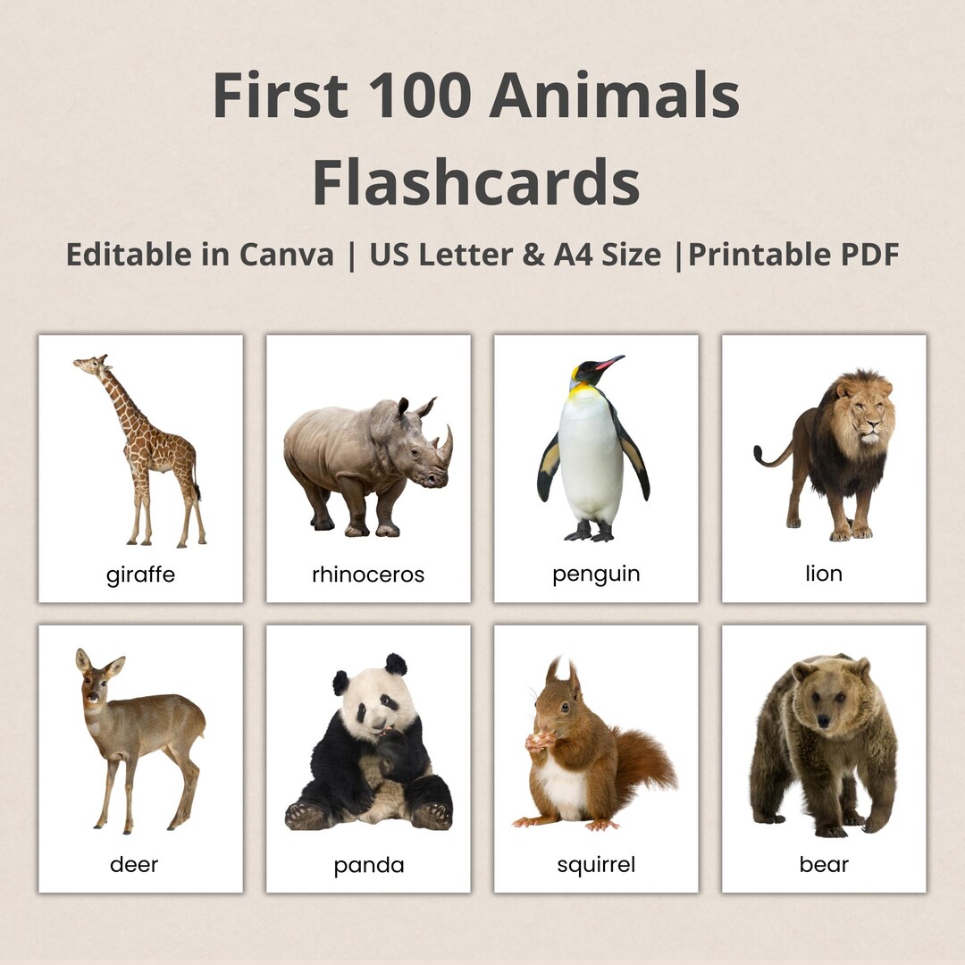 First 100 Animal Flashcards: Montessori, Zoo Animal Flashcards, Pet ...