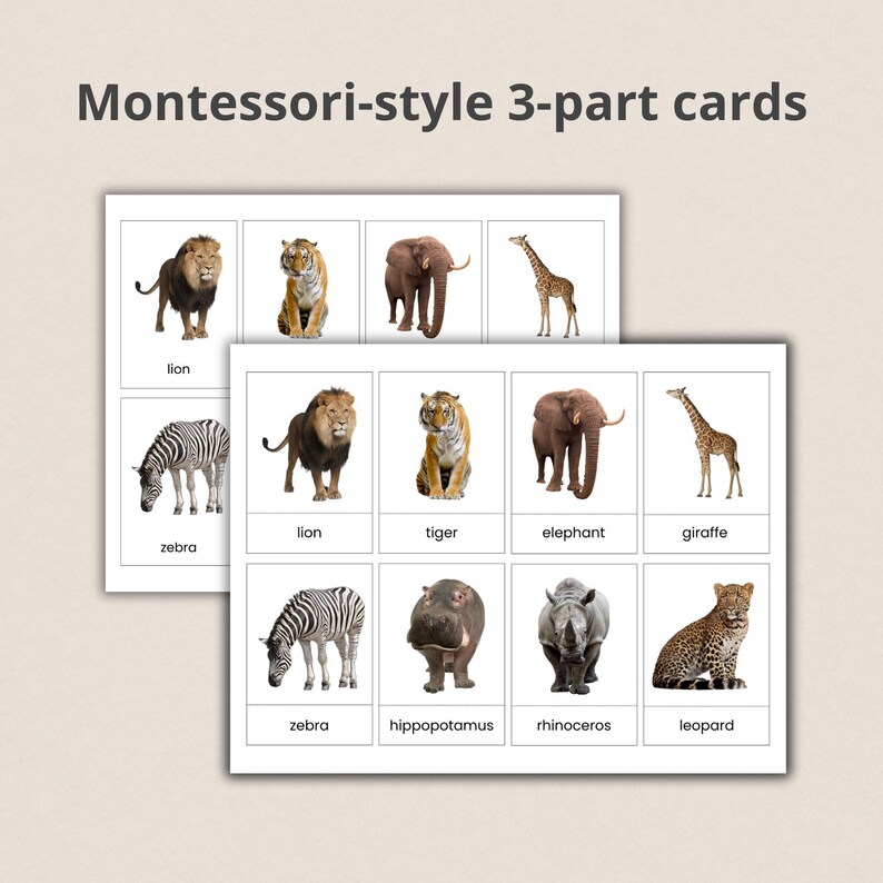 Jungle Animals Flashcards: Montessori Learning, Vocabulary (printable ...