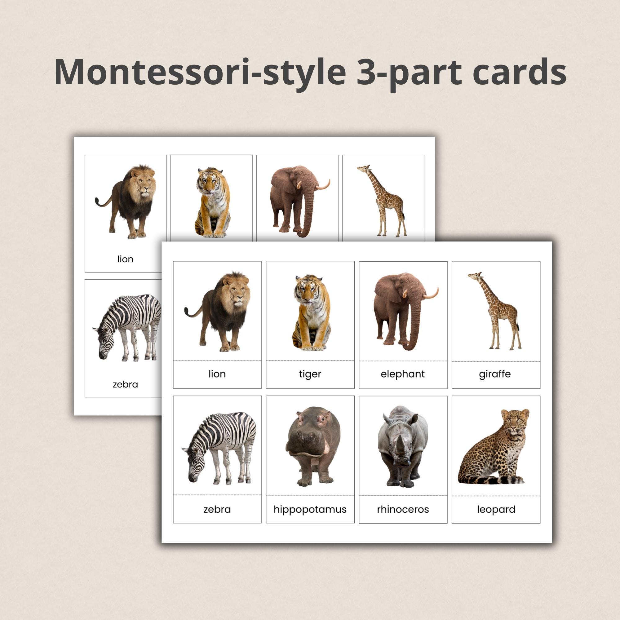 Jungle Animals Flashcards: Montessori Learning, Vocabulary (printable ...