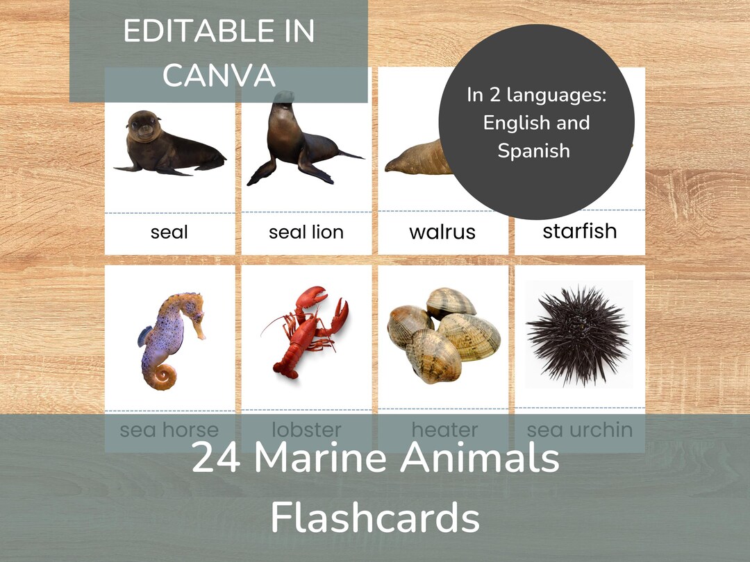 Marine Animals Flash Cards, Montessori Flashcards, Real Pictures ...