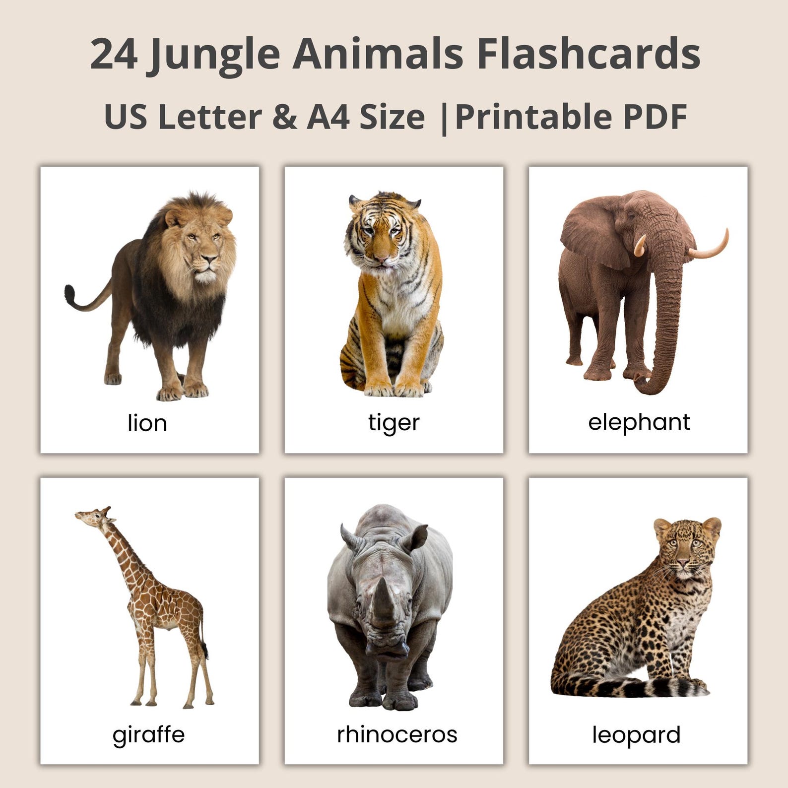 Jungle Animals Flashcards: Montessori Learning, Vocabulary (printable ...