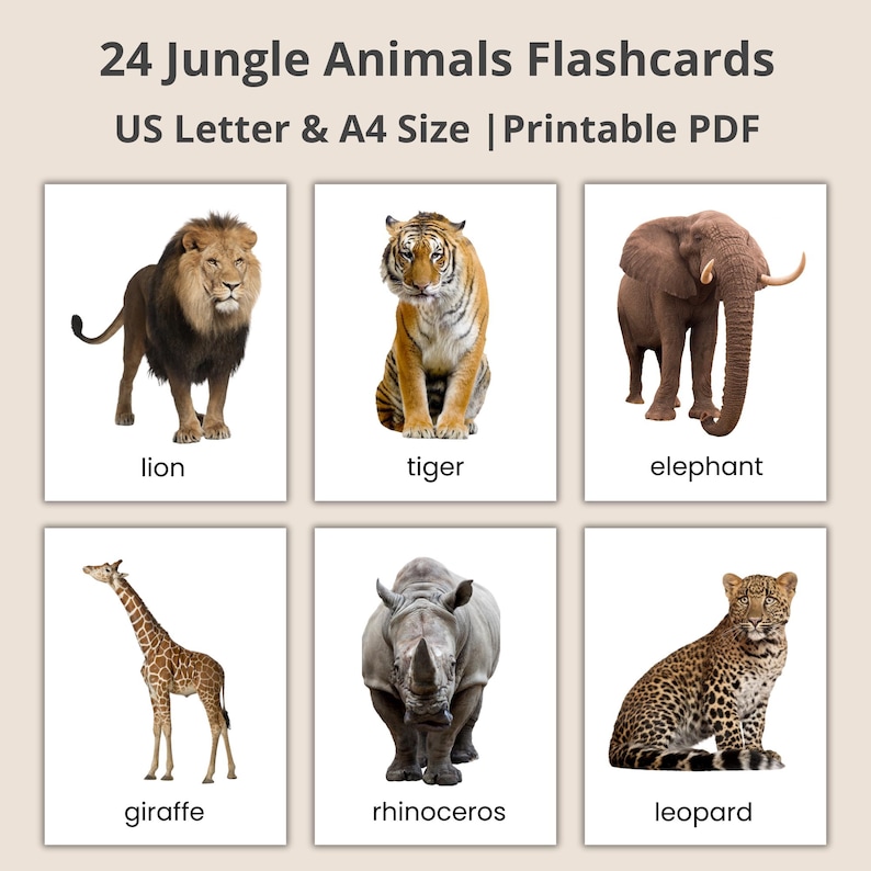 Jungle Animals Flashcards: Montessori Learning, Vocabulary (printable ...