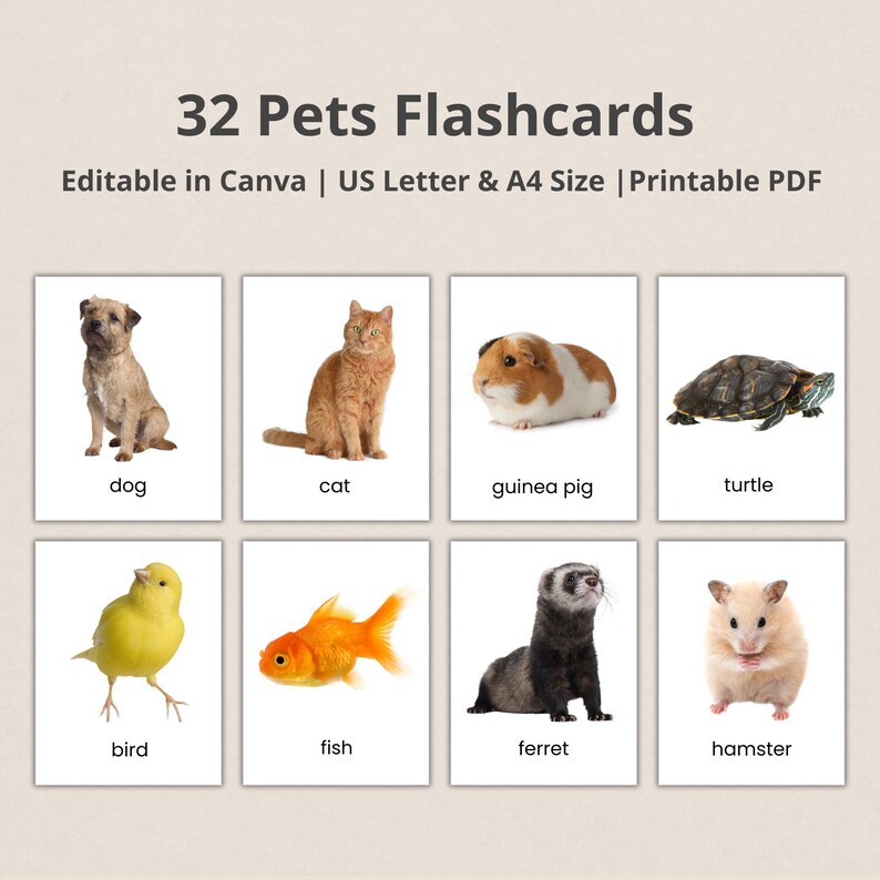 Pets Flashcards: Montessori 3-part Cards, Editable Canva Template (PDF ...