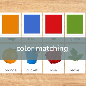 Color Flashcards, Montessori Materials, Real Pictures, Card Sorting ...