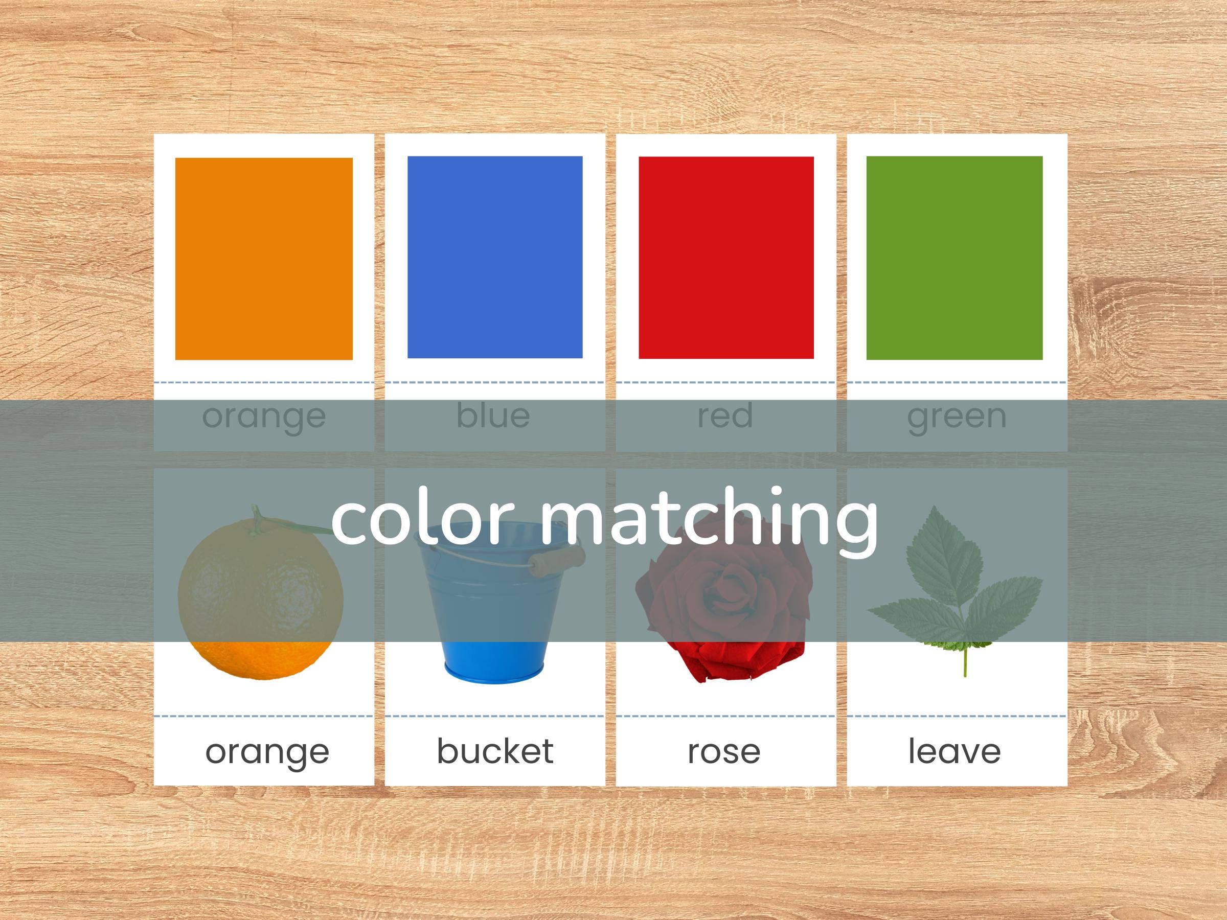 Color Flashcards, Montessori Materials, Real Pictures, Card Sorting ...